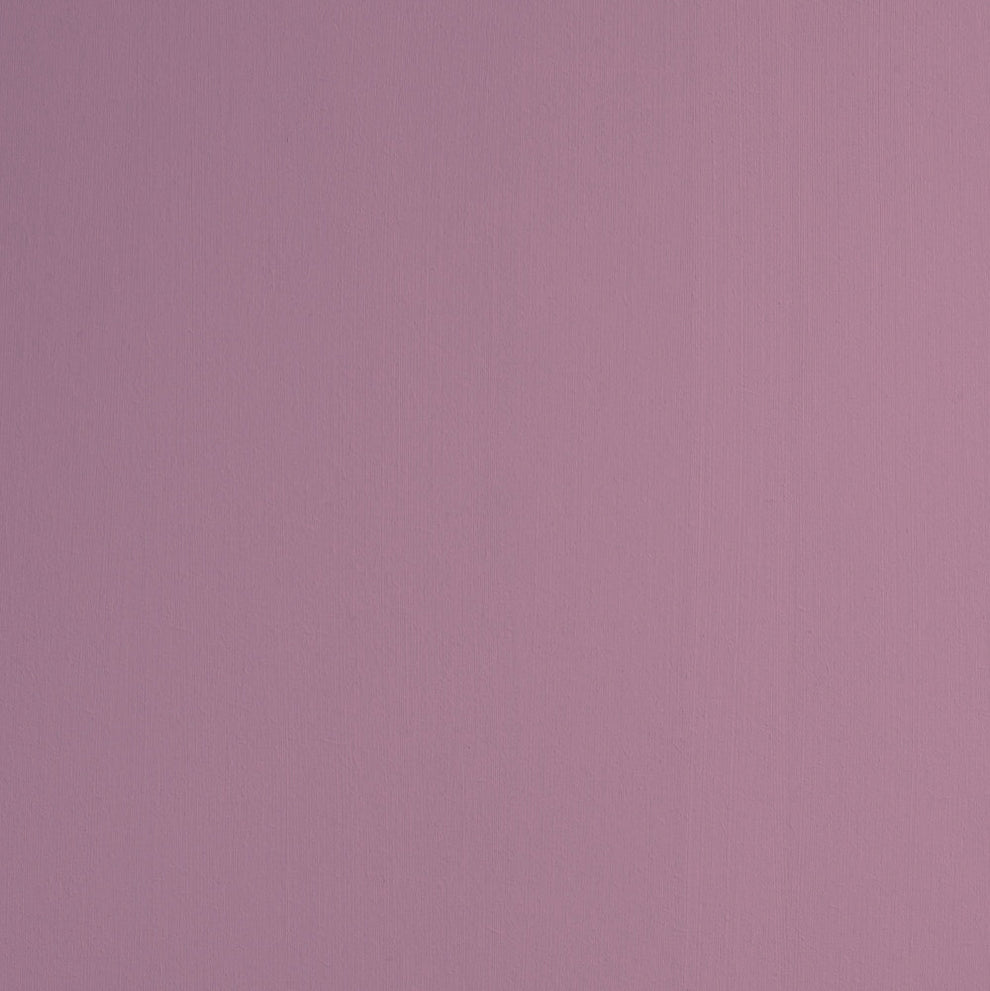 Balthus Purple – St. Leo