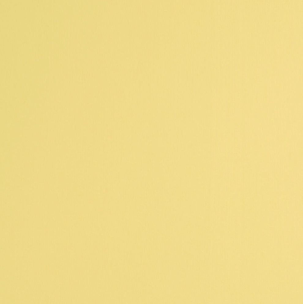 Canary – St. Leo